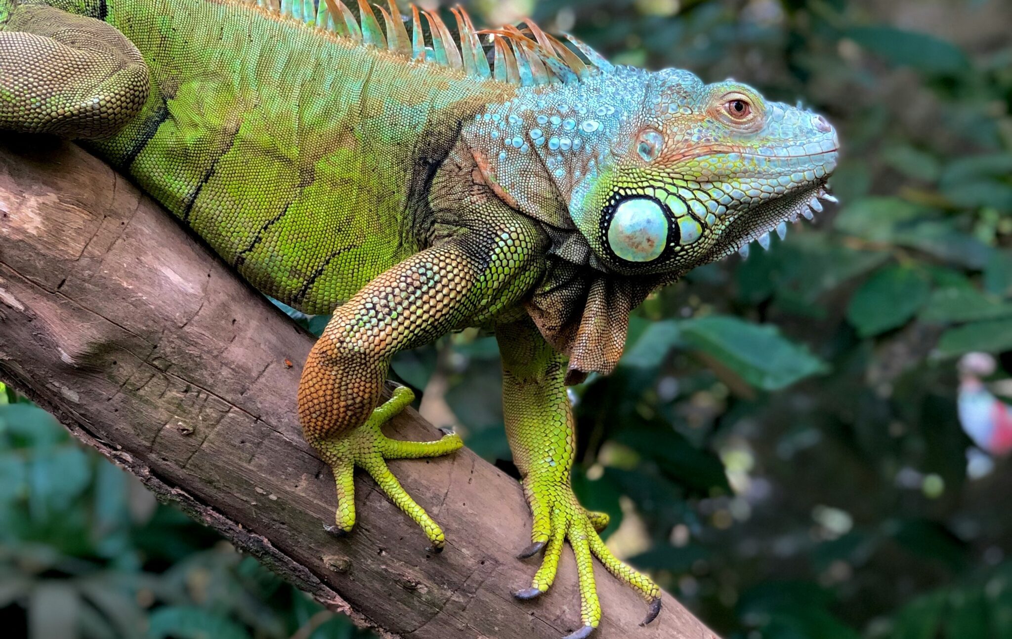 Wilde Tracks – Change Today To Protect Tomorrow